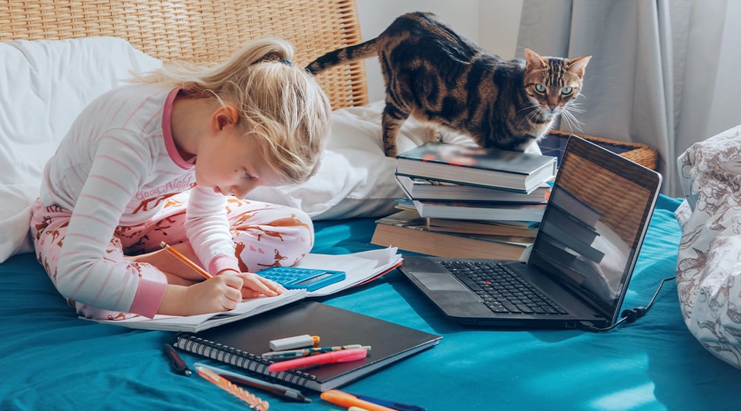 Digital Resources for Learning At Home